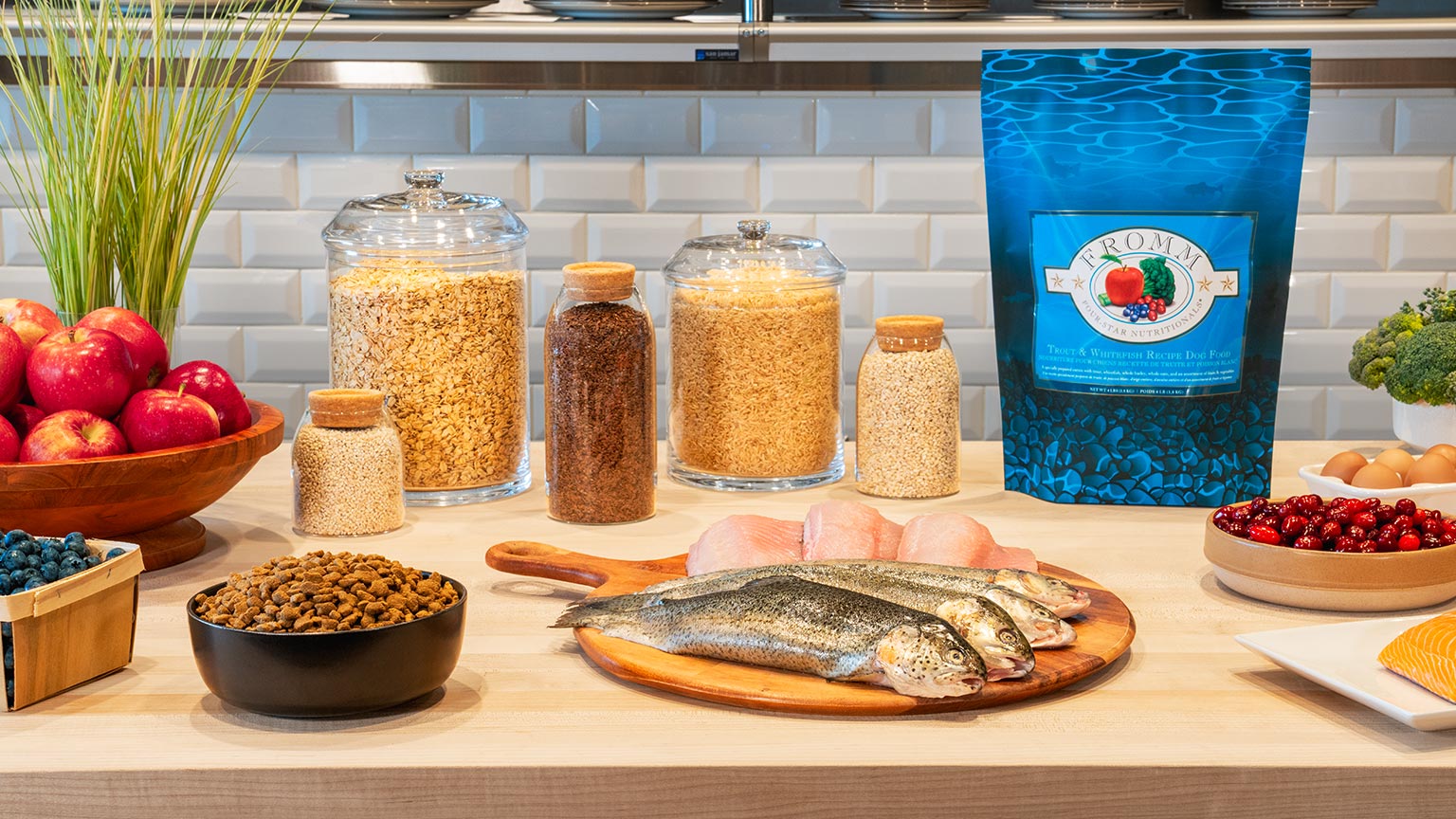 Fromm Four-Star Nutritionals® Trout & Whitefish Recipe Recipe Food for ...