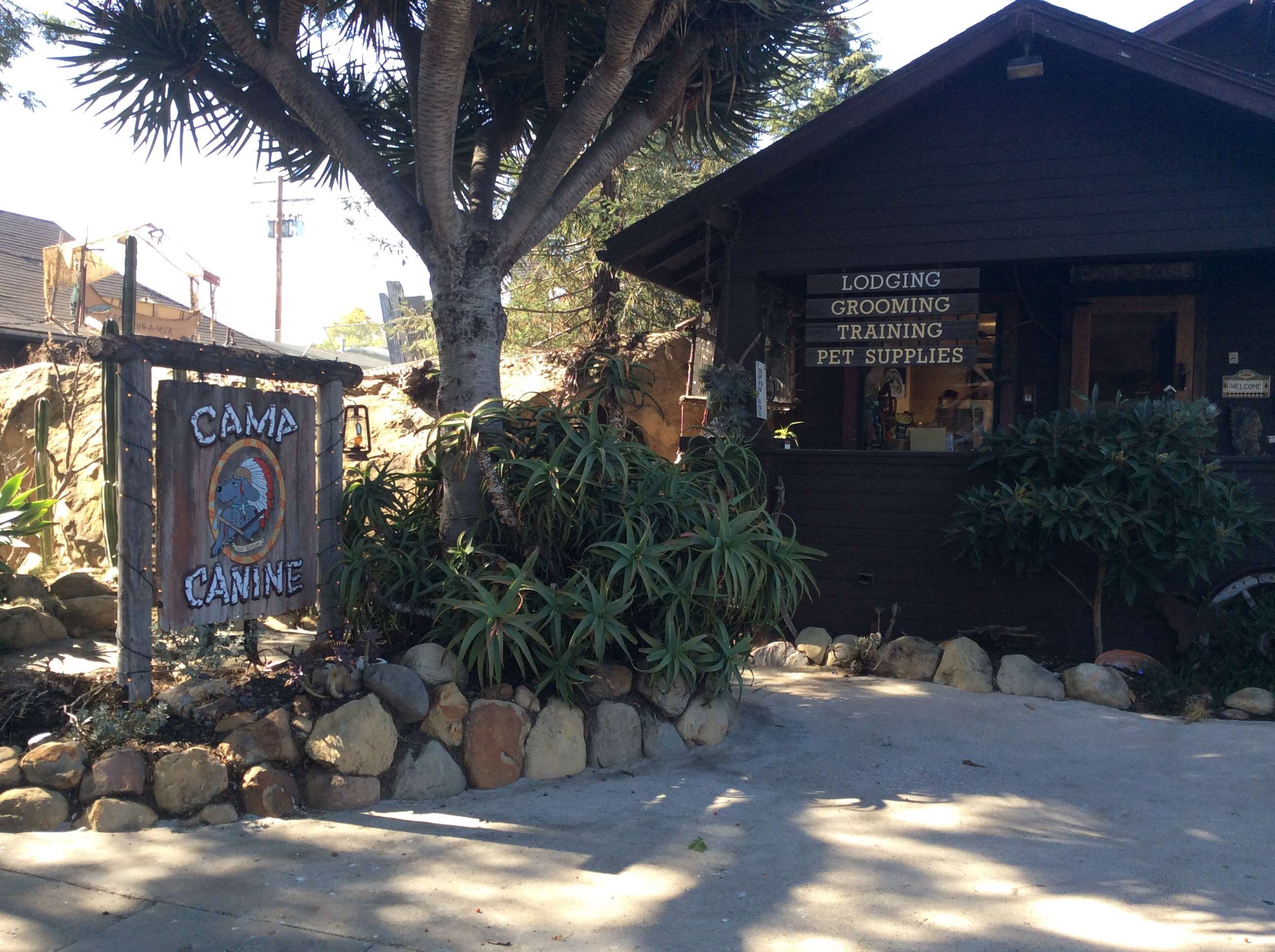Camp Canine Santa Barbara