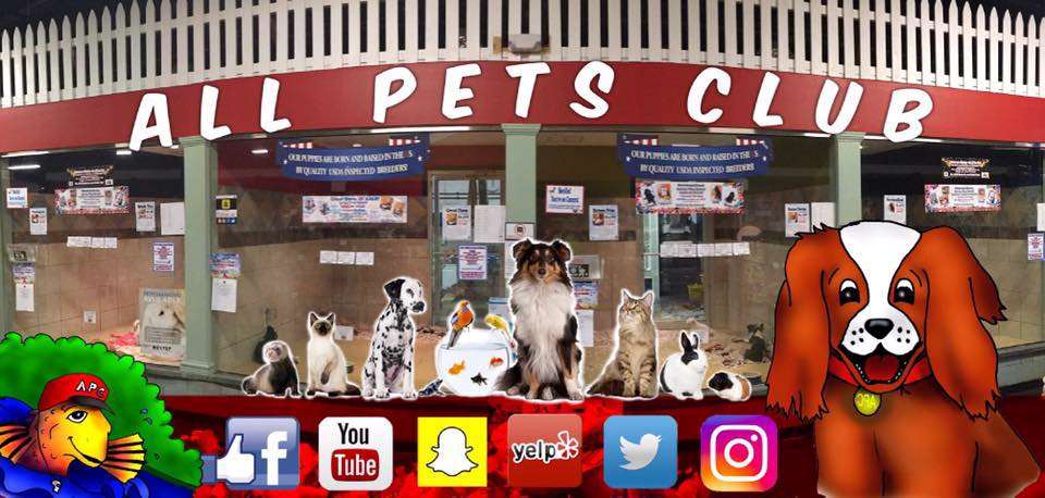 All Pets Club - Southington, CT - Pet Supplies
