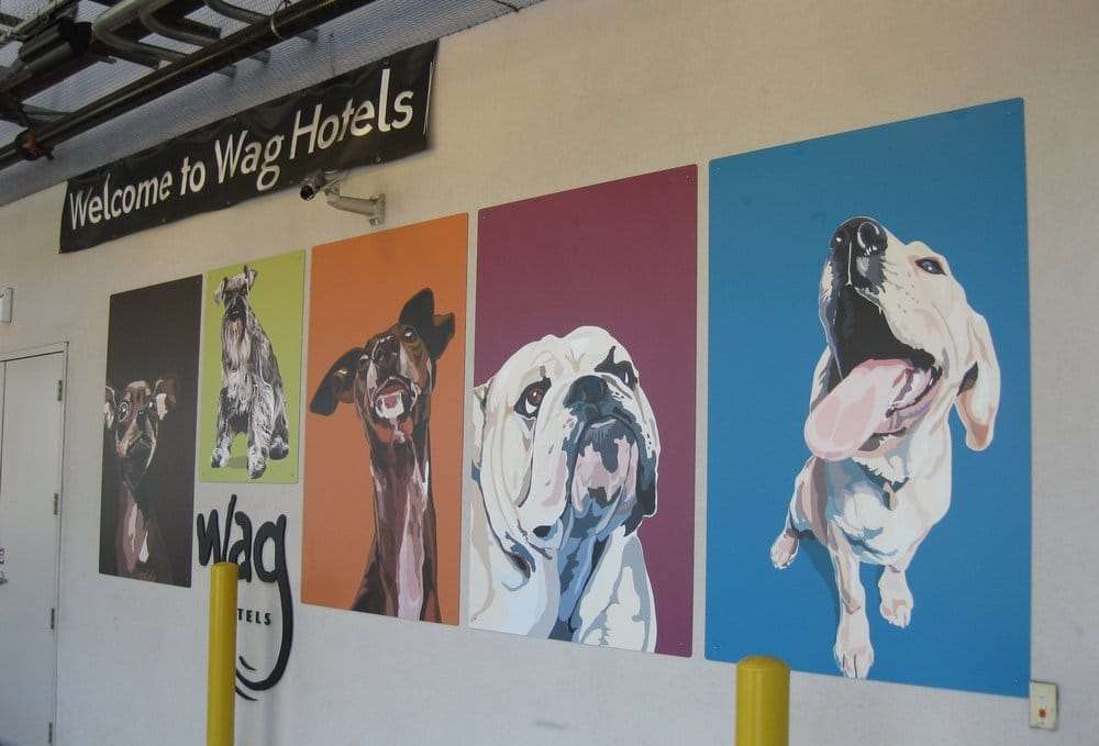 Wag Hotels - San Francisco, CA - Pet Supplies