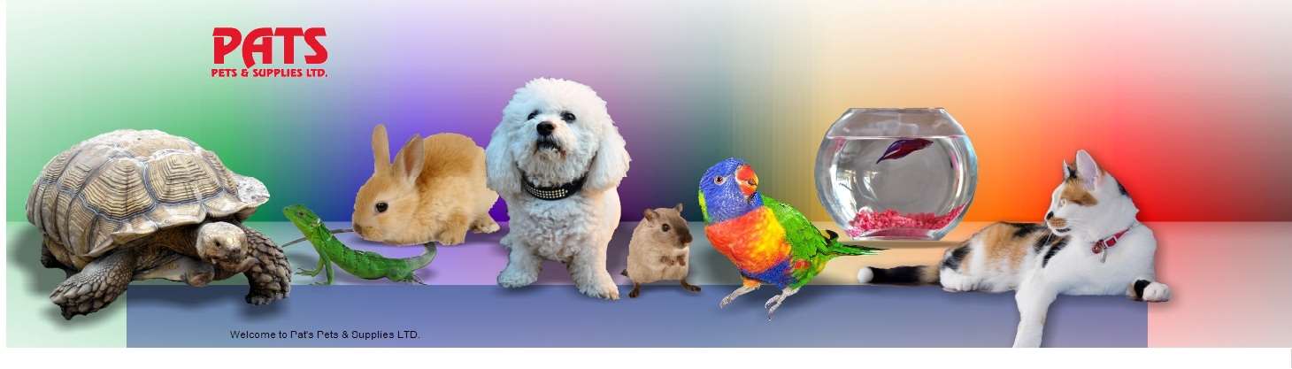 Pat's Pets & Supplies Ltd - Regina, SK - Pet Supplies
