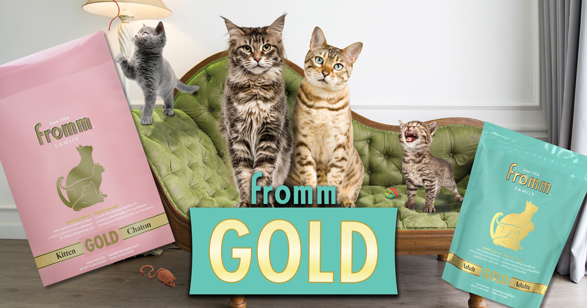 Save $4 on Gold Cat
