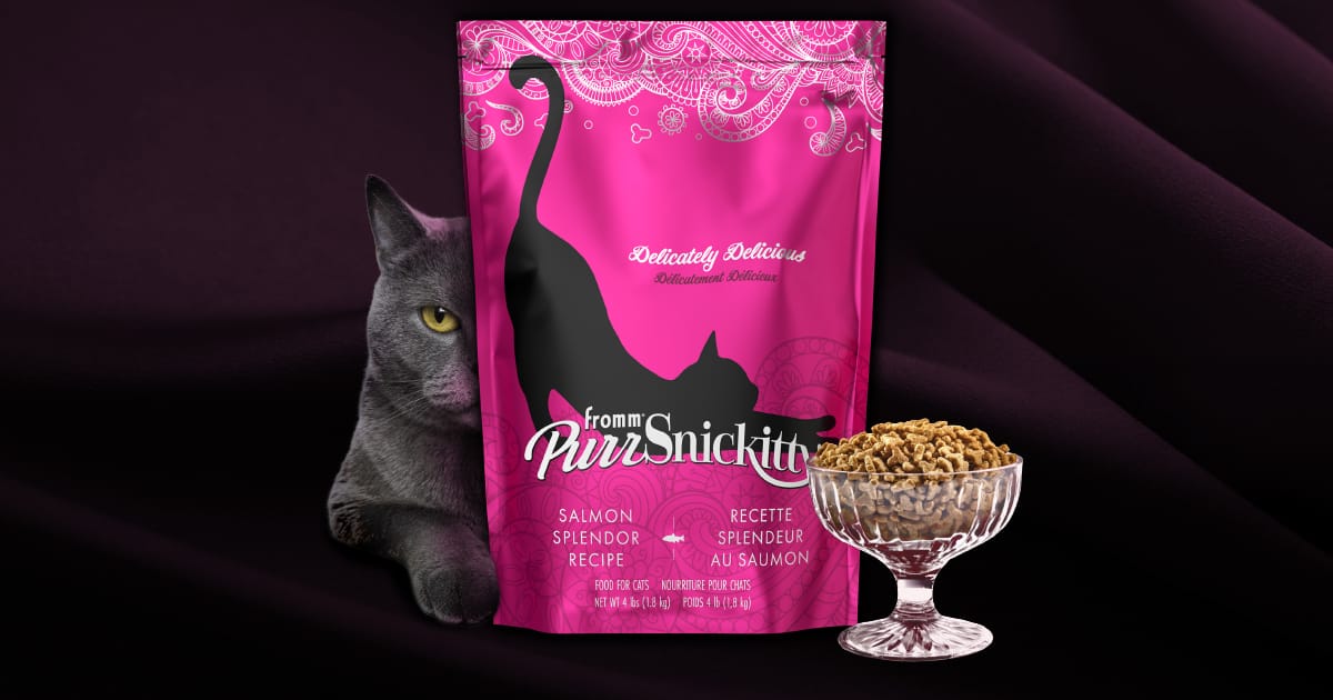 PurrSnickitty Salmon Splendor Recipe Food for Cats