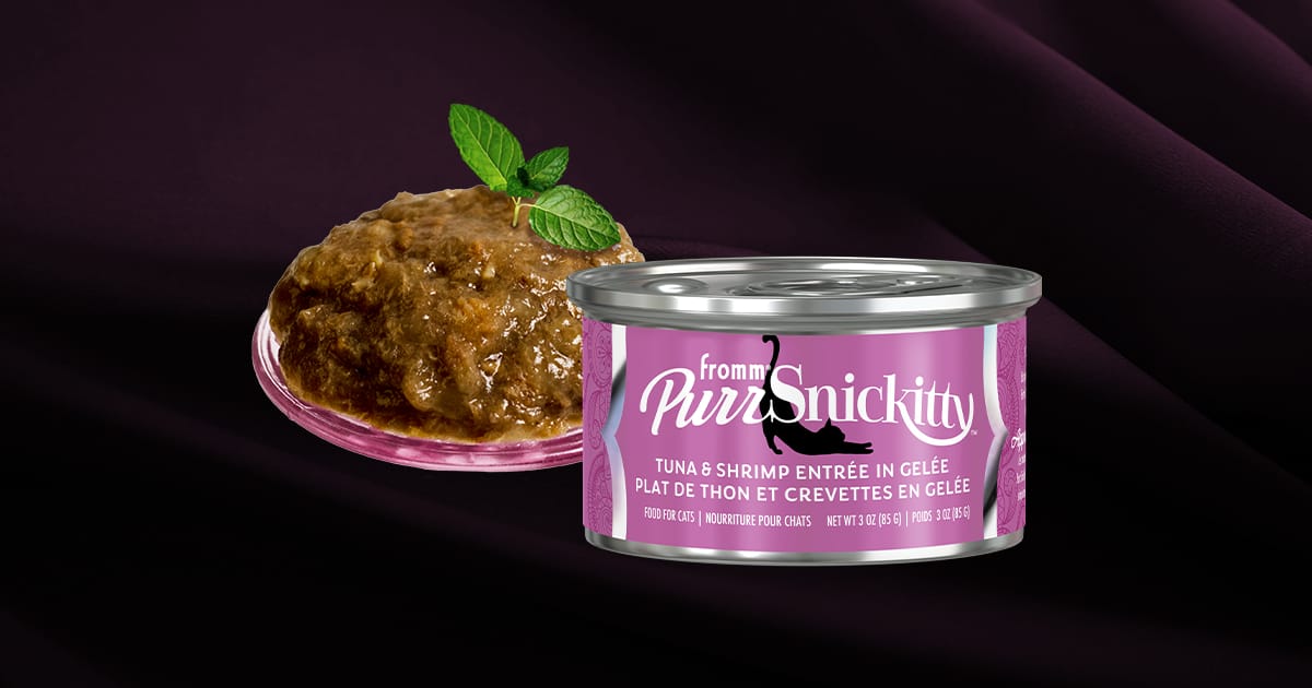 PurrSnickitty Tuna & Shrimp Entrée in Gelée