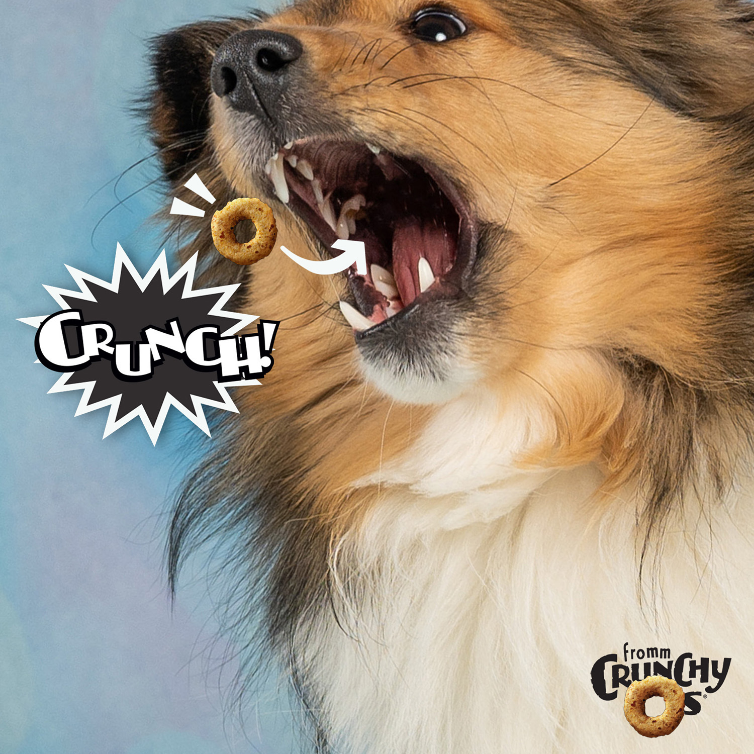 Fromm Crunchy Os® Bacon Blasters Flavor Dog Treats Recklessly Crunchy ...