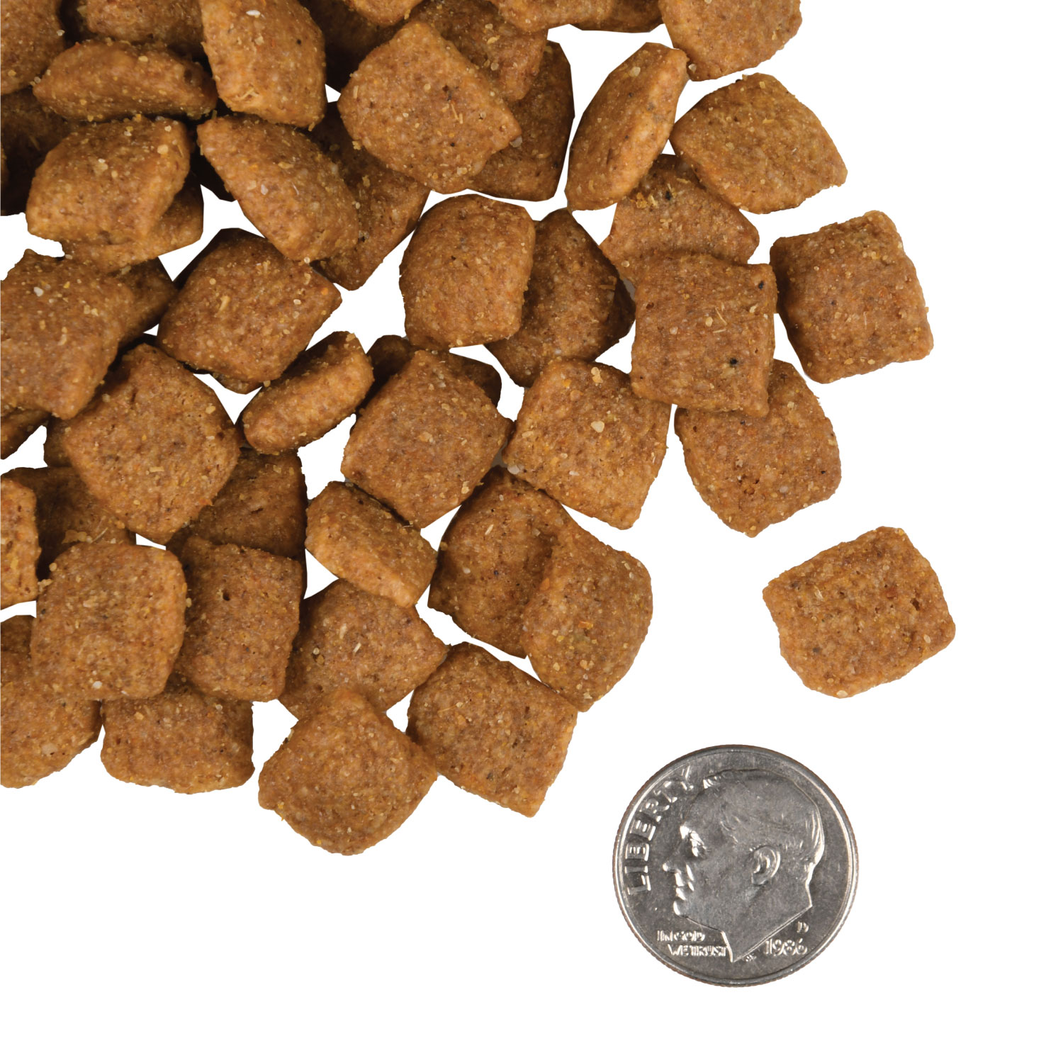Fromm Family Adult Gold Food for Dogs | GoFromm.com - Fromm Pet Food ...